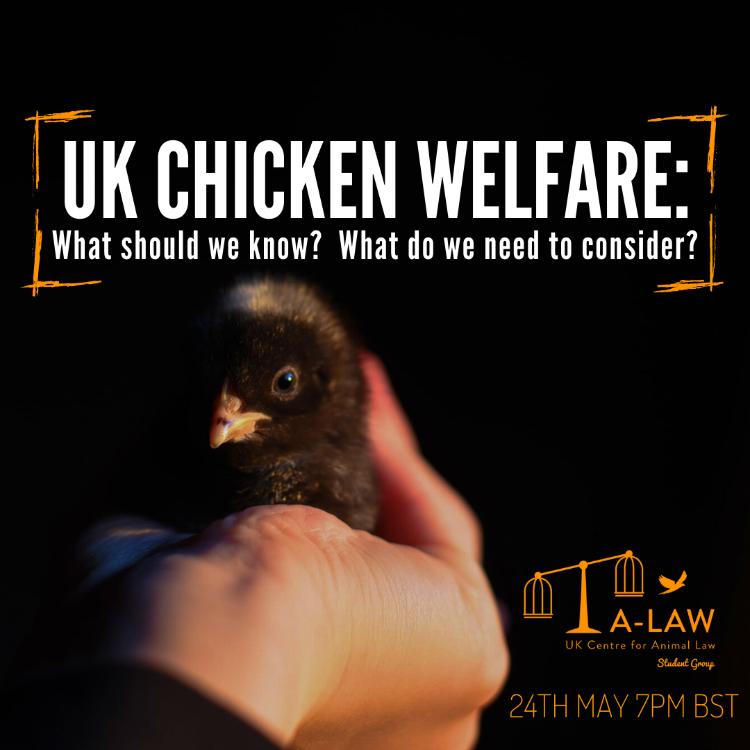 Student voices in Scotland | A-LAW