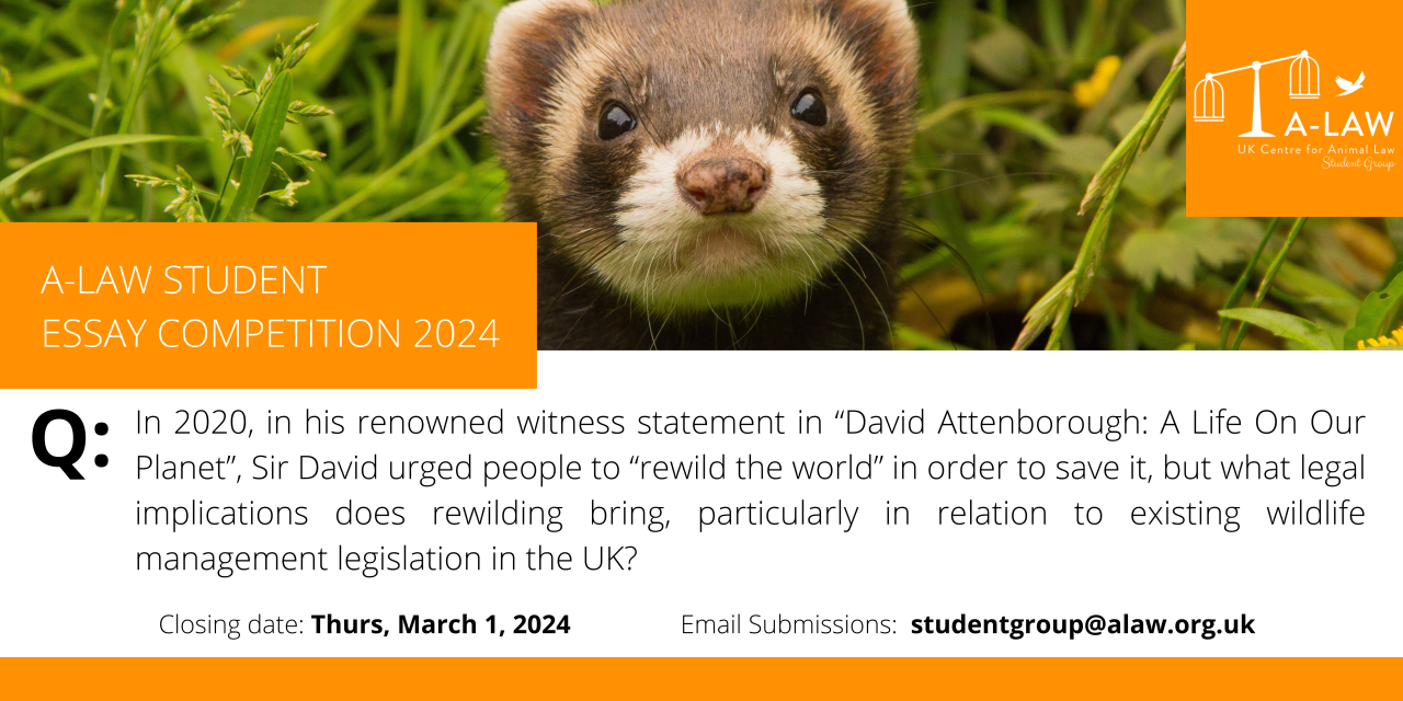 Essay Competition | A-LAW