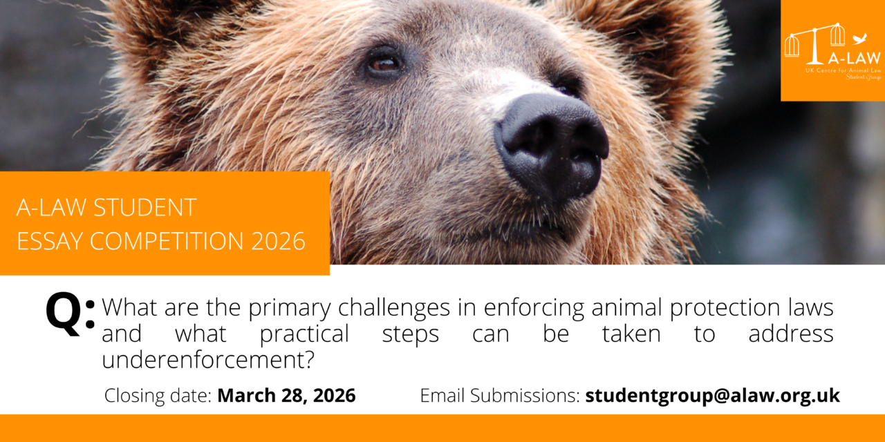 Essay Competition | A-LAW